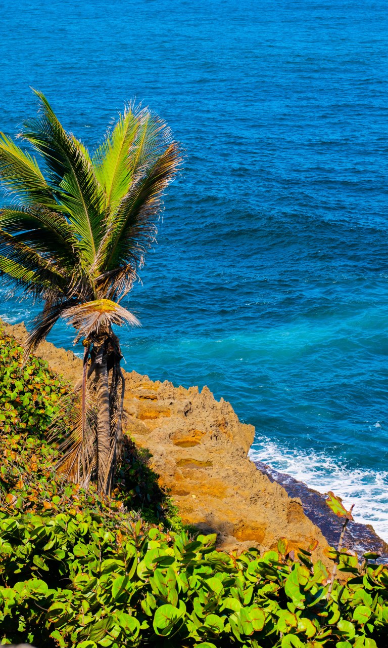 Una caminata por el Morro – MirellesDiary